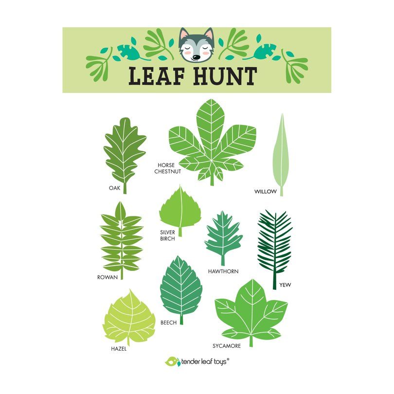 Forest Trail Kit - Pretend Play, Play Tents & Vanities - Maisonette