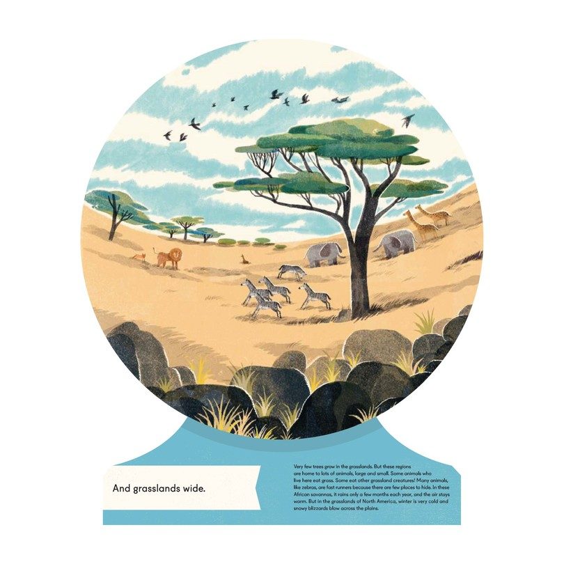 Our World: A First Book of Geography - Books - Maisonette